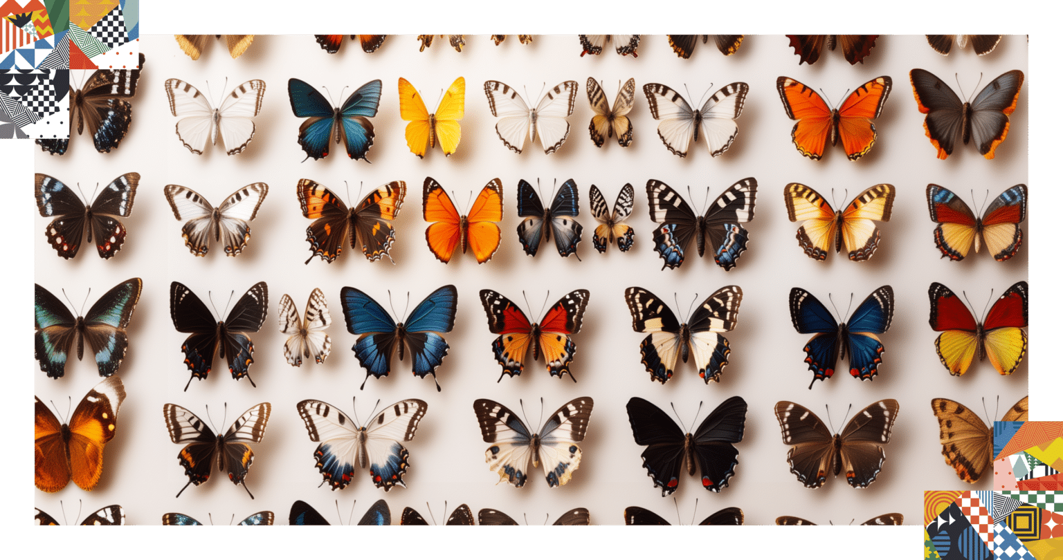 ARAISA | Enhancing National Sector Gender-Based Analysis Plus Capacity ...